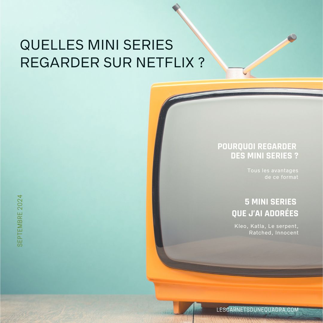 Quelles mini séries Netflix regarder